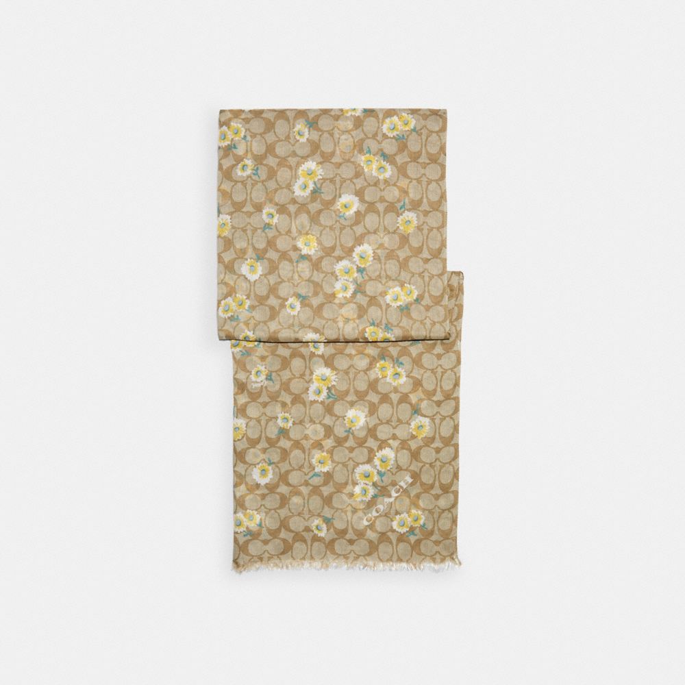 COACH® Outlet | COACH® Outlet | Signature Daisy Print Oblong Scarf