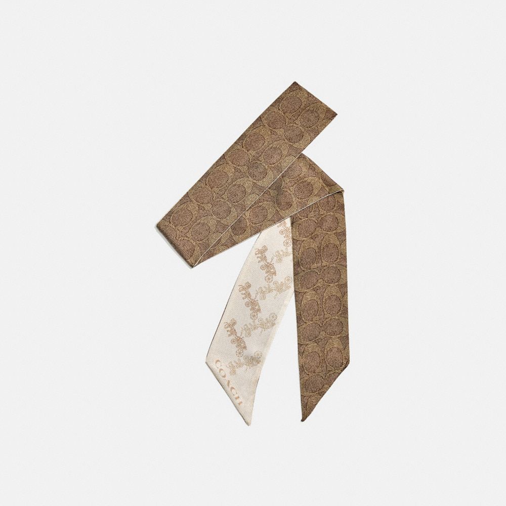Horse And Carriage Silk Skinny Scarf | COACH®